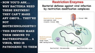Restriction Enzymes full content | PPTX