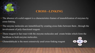 Bio presentation | PPTX | Chemistry | Science