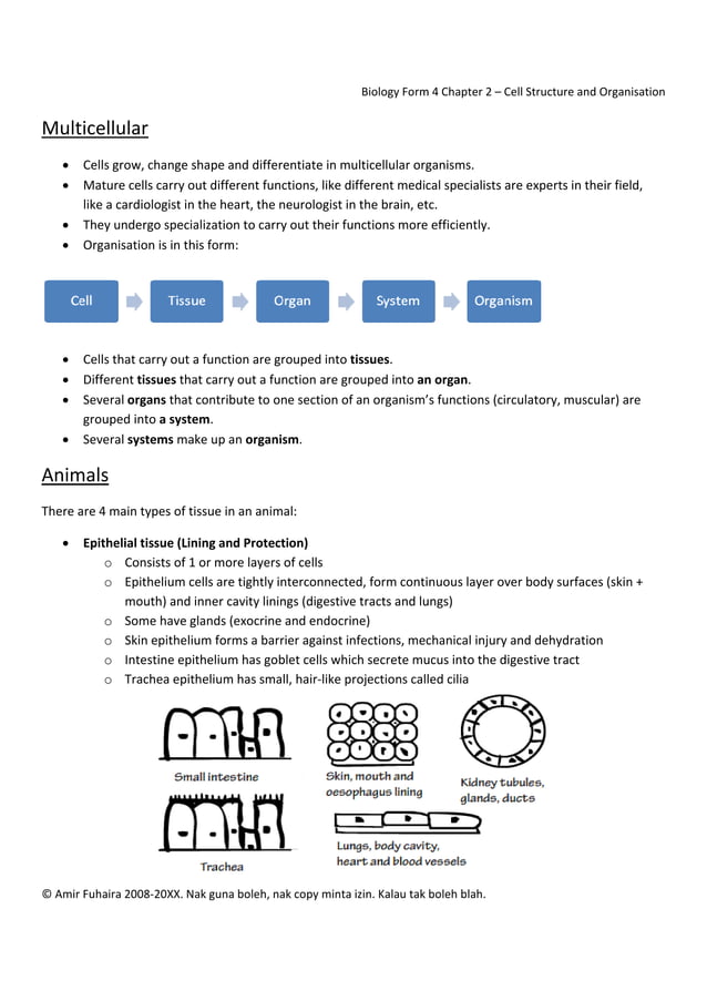 Bio f4c2 | PDF