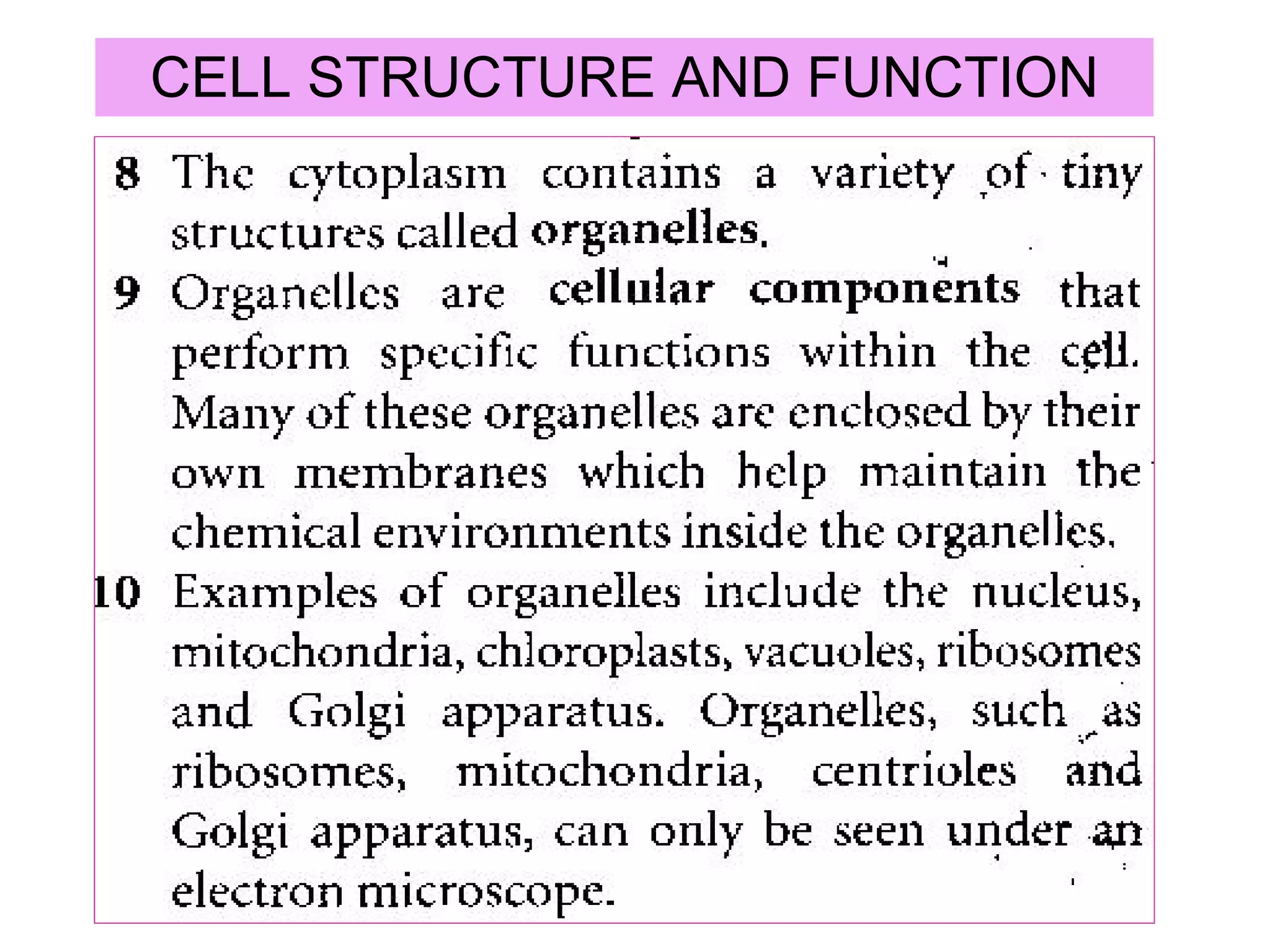 Bio F4 Cell Organel | PPT