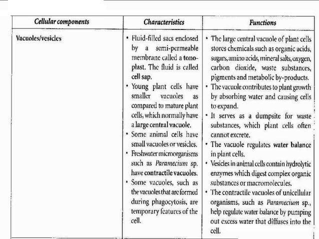 Bio F4 Cell Organel | PPT