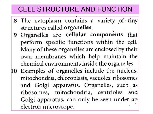 Bio F4 Cell Organel | PPT