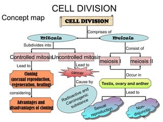 Cell Cycle Concept Map Mitosis