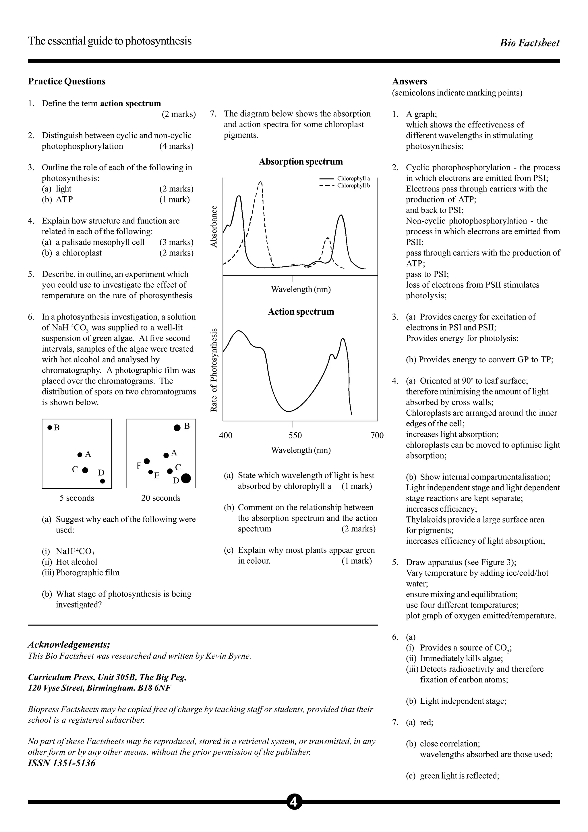 Biofactsheet photosynthesisguide | PDF