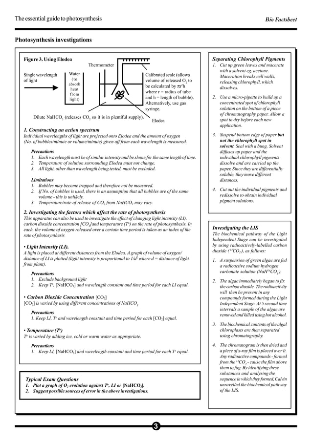 Biofactsheet photosynthesisguide | PDF