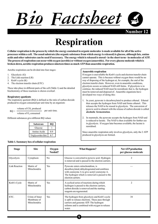 Biofactsheet respiration | PDF