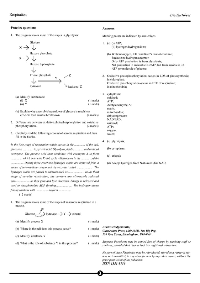Biofactsheet respiration | PDF
