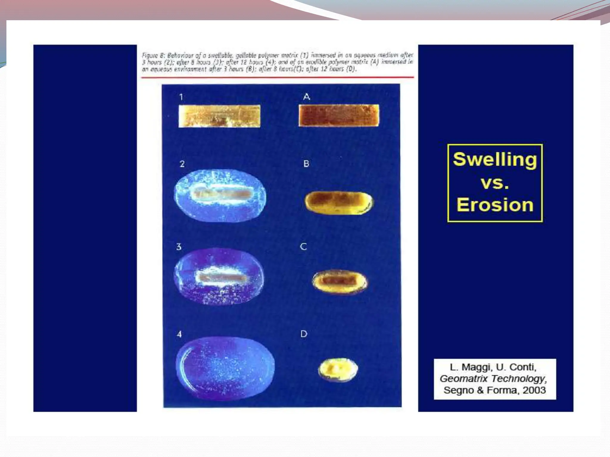 Biofarmasetika tentang farmasetika bahan obat | PPT
