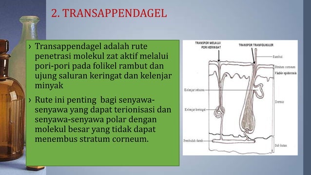 Biofarmasi perkutan (STIFI BP Palembang) | PPTX