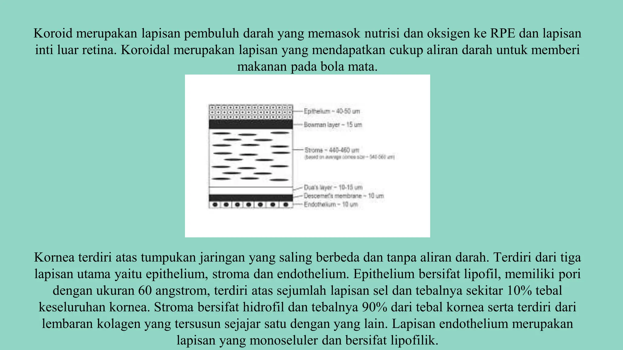 BIOFARMASI SEDIAAN OPTALMIK FARMASI UNIVERSITAS MUHAMMADIYAH RIAU | PPTX