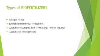 Preparation of Biofertilers. Process or procedure and manufacturing ...
