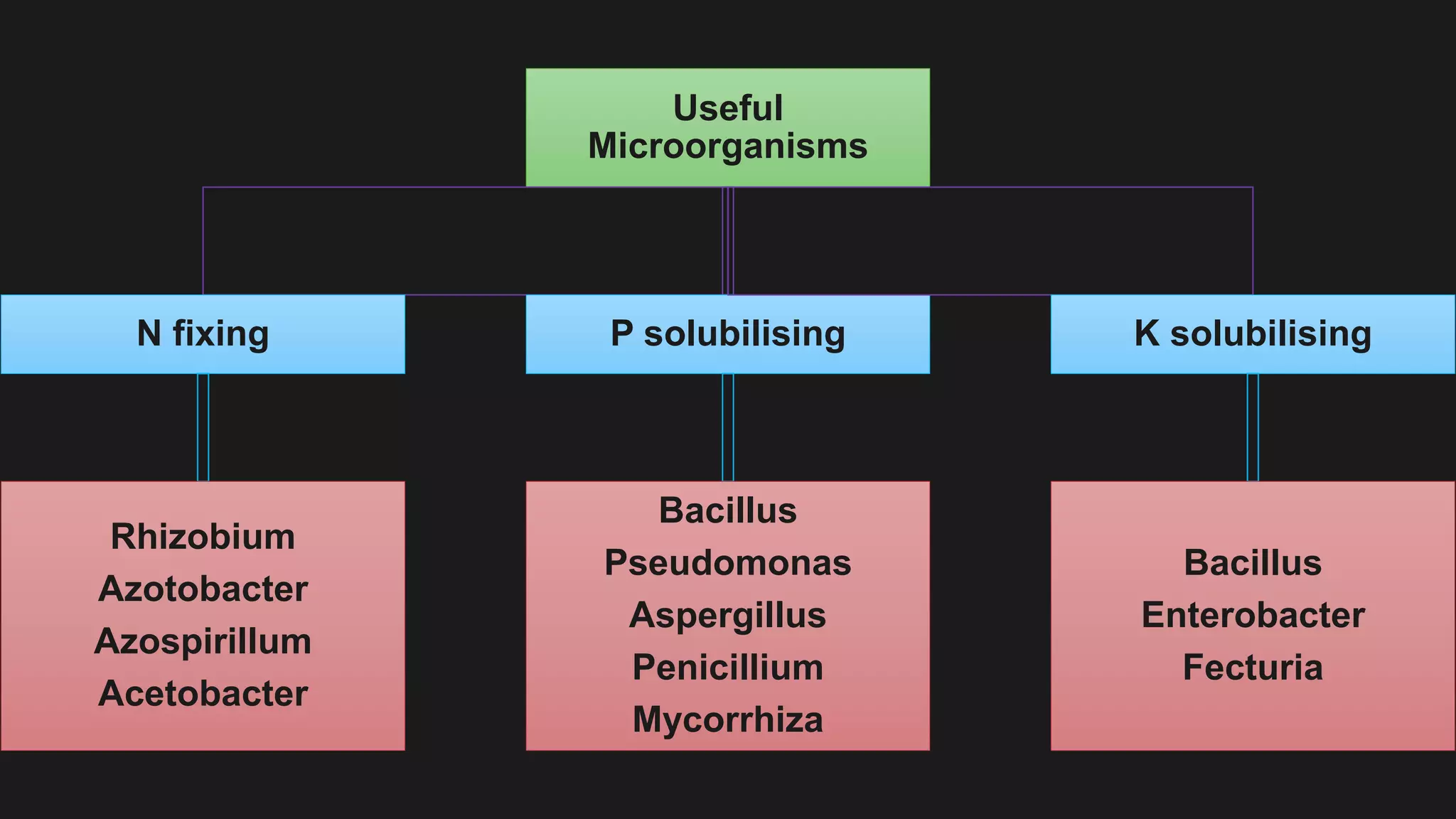 PRODUCTION TECHNOLGY FOR BIOAGENTS AND BIOFERTILISZER | PPTX