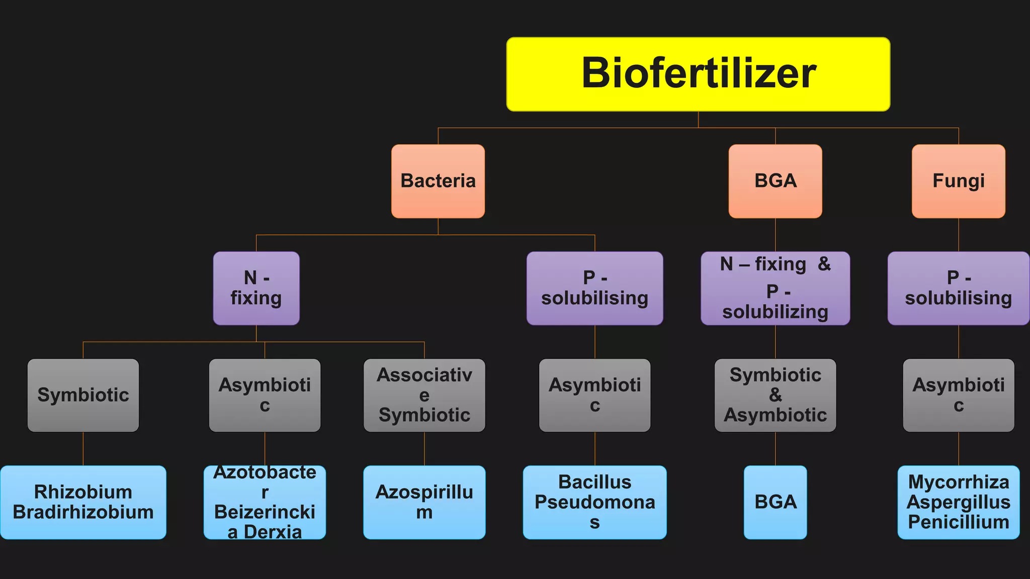 PRODUCTION TECHNOLGY FOR BIOAGENTS AND BIOFERTILISZER | PPTX