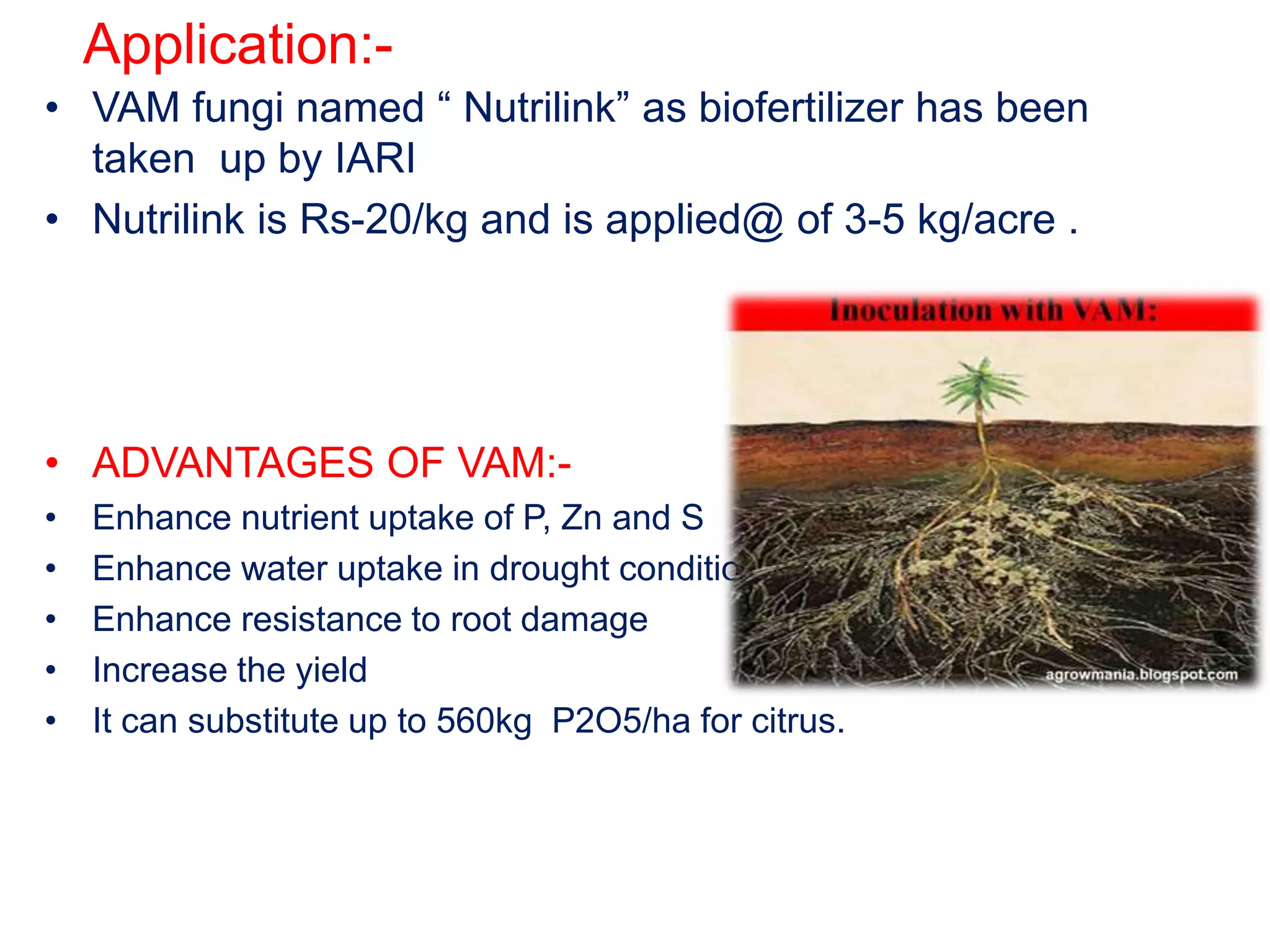 Biofertiliser and their advantages complite | PPTX