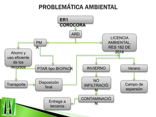 Biofertilizantes a partir de microalgas flor moreno | PPTX