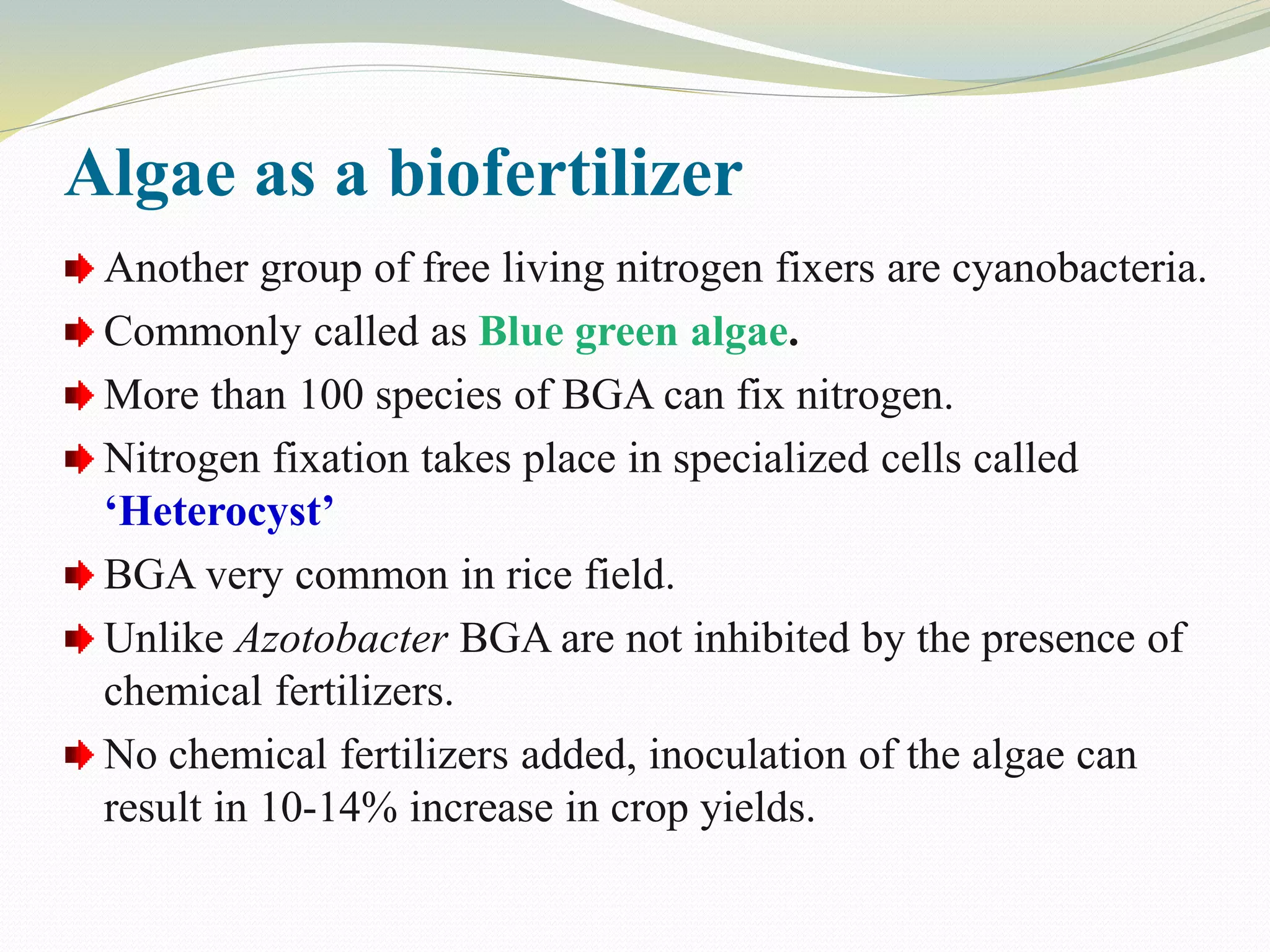 Biofertilizer | PPTX