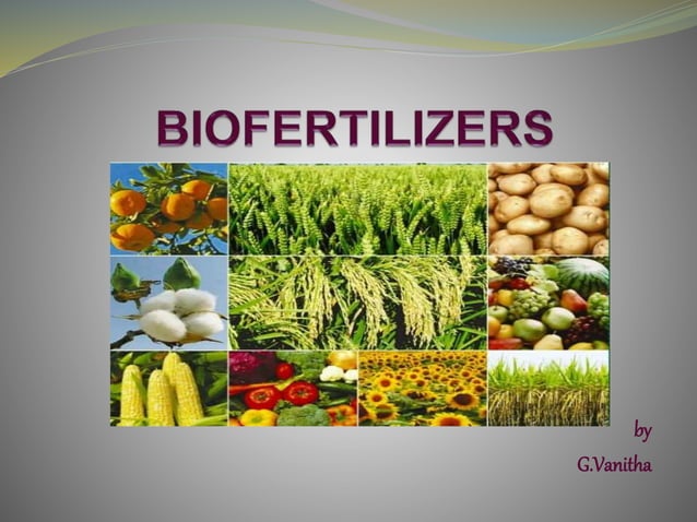 Biofertilizer | PPTX | Agriculture | Industries