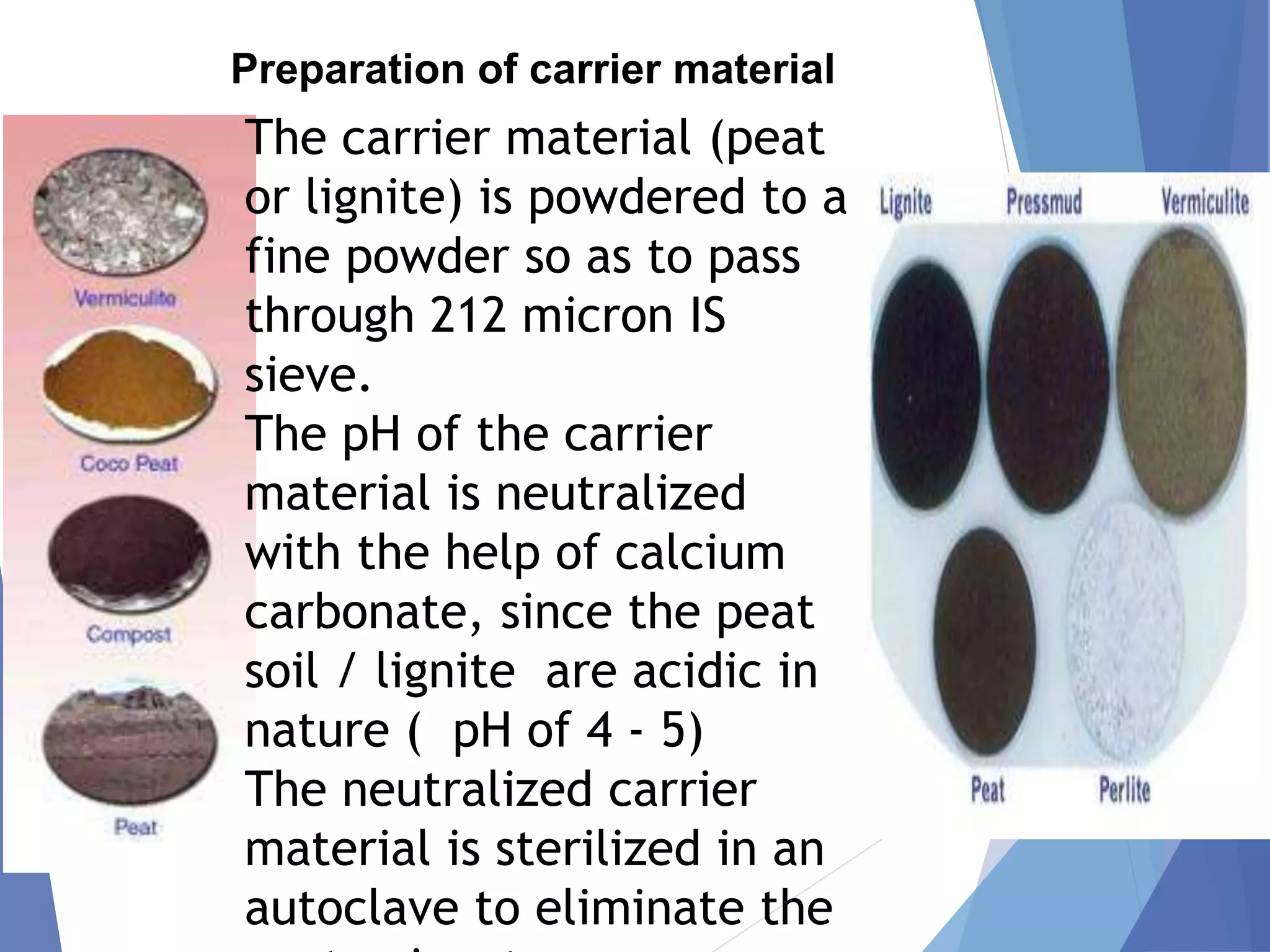 Rhizobium Biofertilizer Mass Production | PPTX