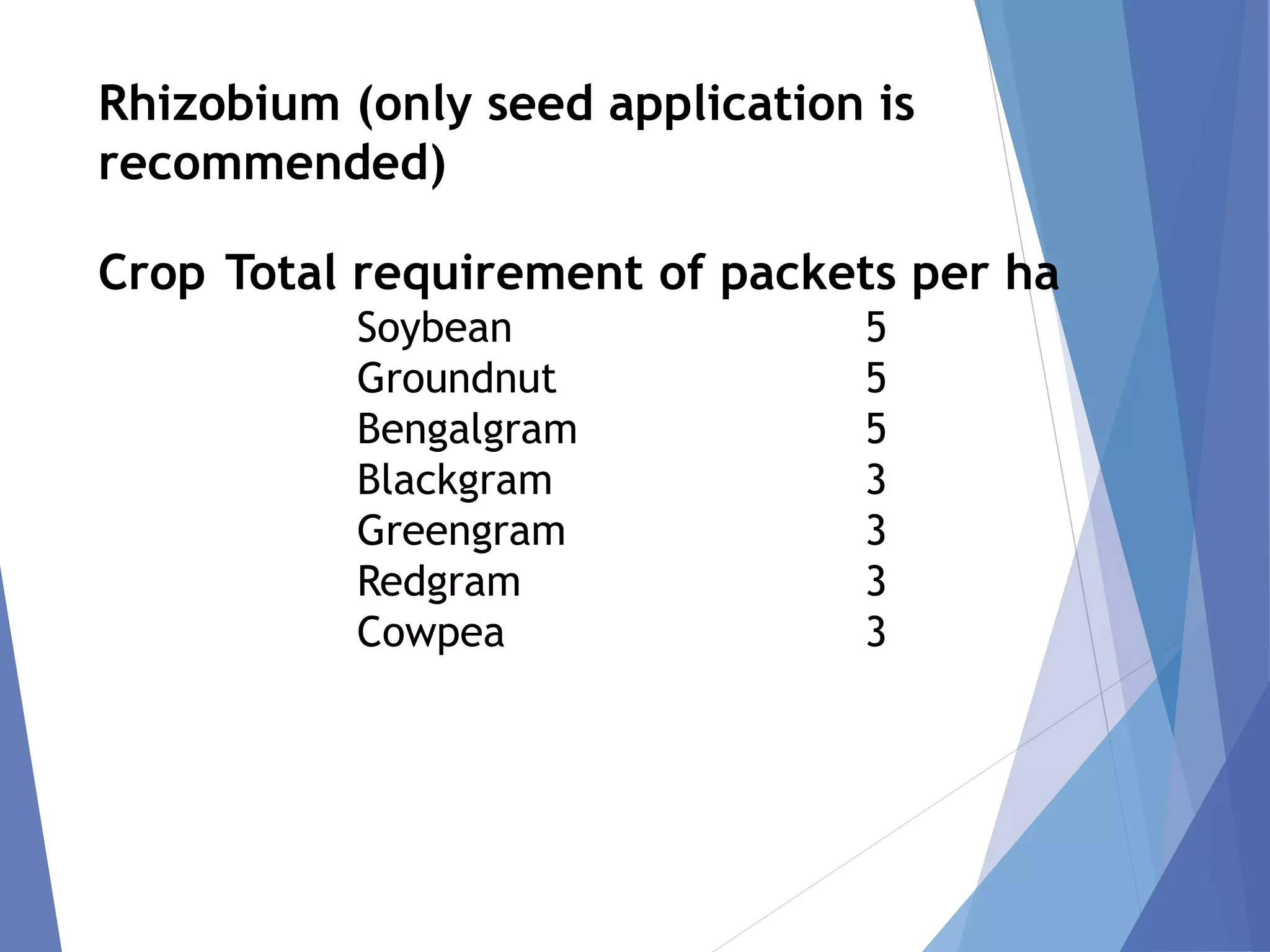 Rhizobium Biofertilizer Mass Production | PPTX