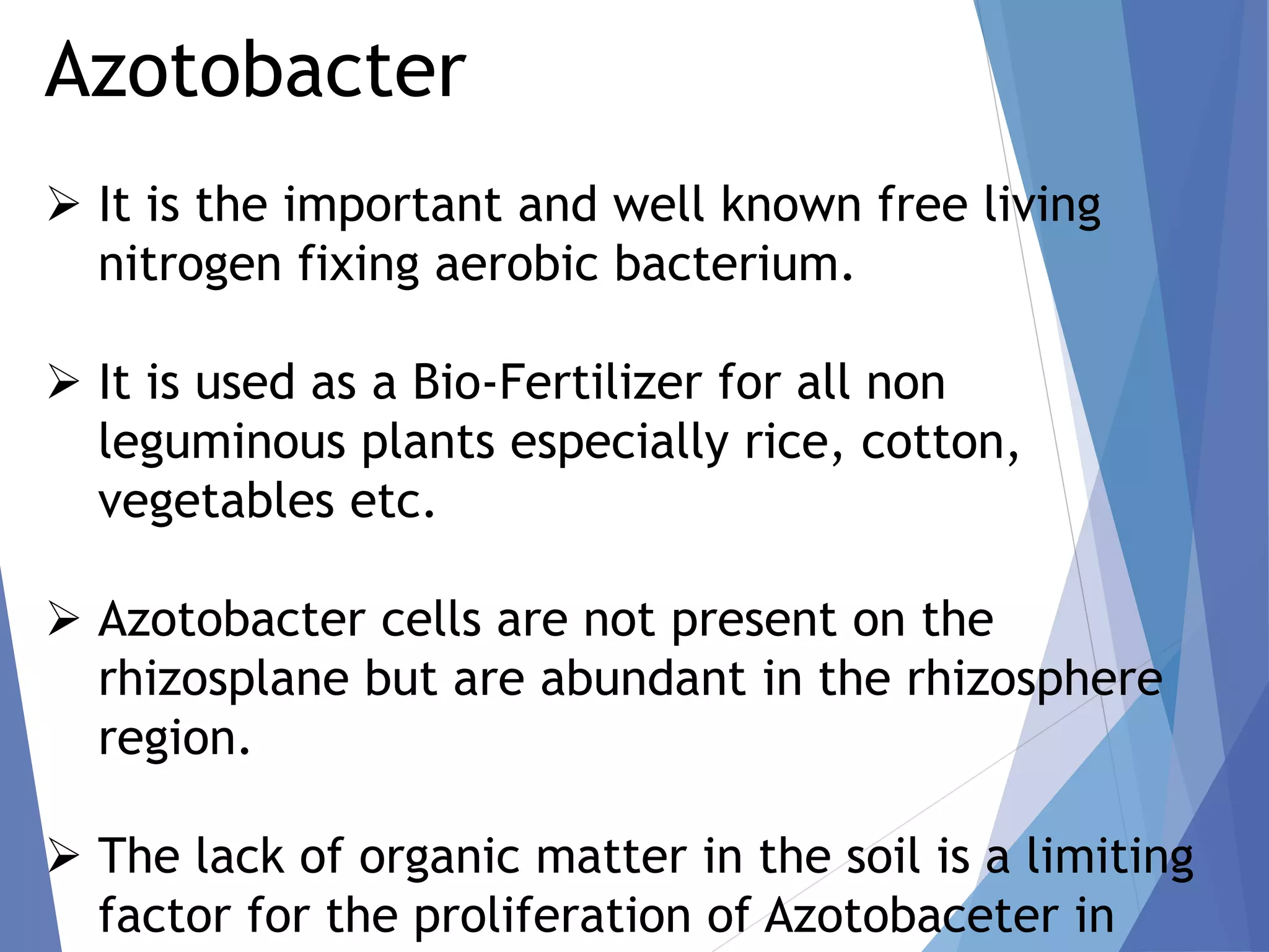 Rhizobium Biofertilizer Mass Production | PPTX