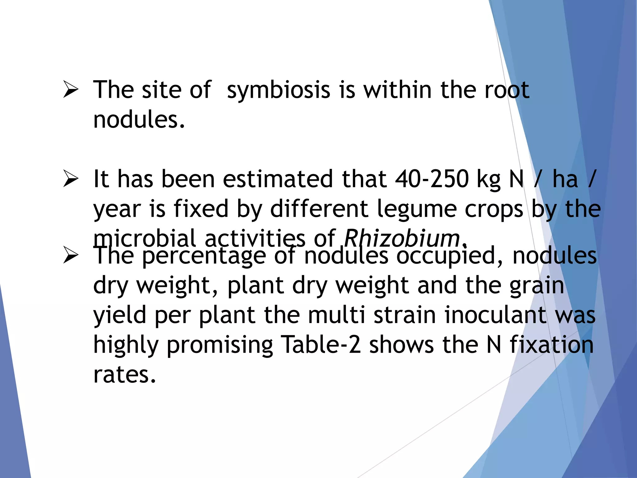 Rhizobium Biofertilizer Mass Production | PPTX