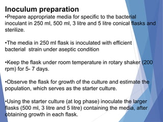 Rhizobium Biofertilizer Mass Production | PPTX