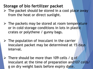 Rhizobium Biofertilizer Mass Production | PPTX