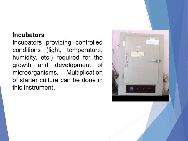 Rhizobium Biofertilizer Mass Production | PPTX | Agriculture | Industries