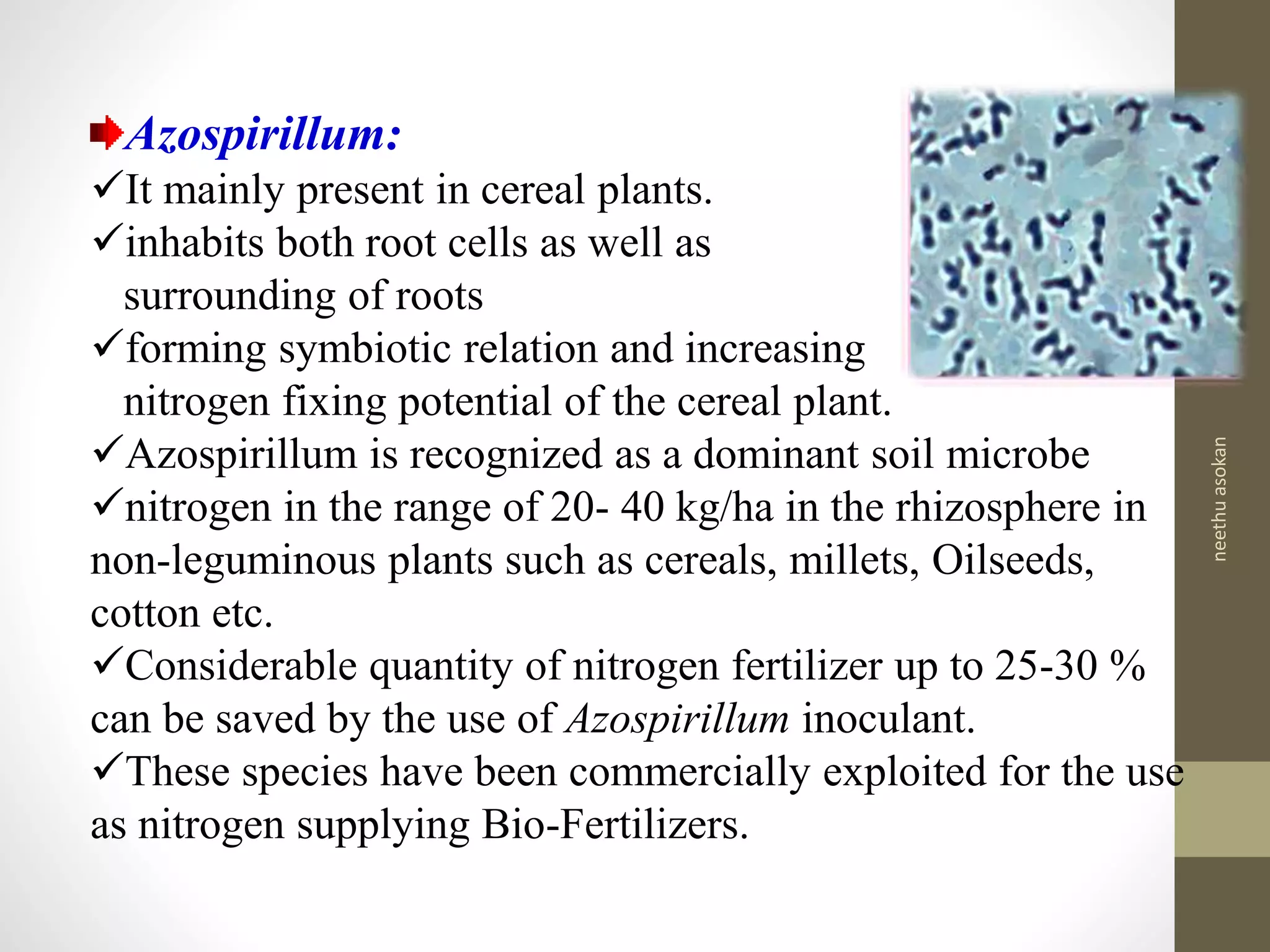 Biofertilizer | PPTX