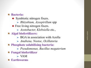Biofertilizer | PPTX