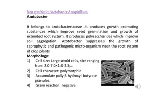 Biofertilizer | PPTX