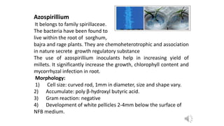 Biofertilizer | PPTX