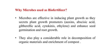 Biofertilizer | PPTX