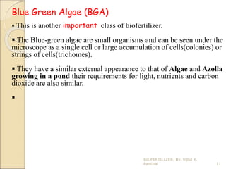 biofertilizer.ppt