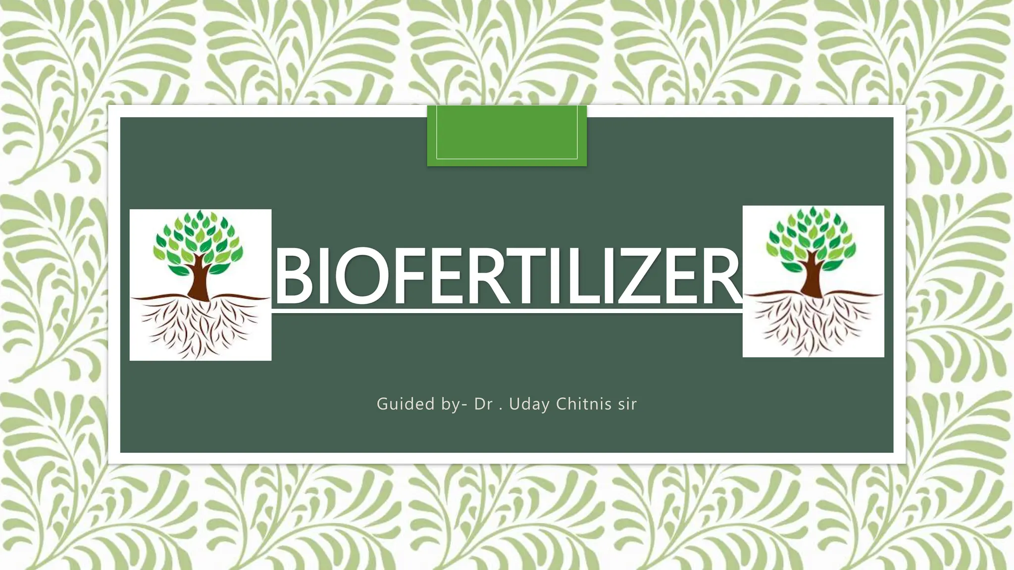 biofertilizer.ppt(introduction,types,uses) | PPT