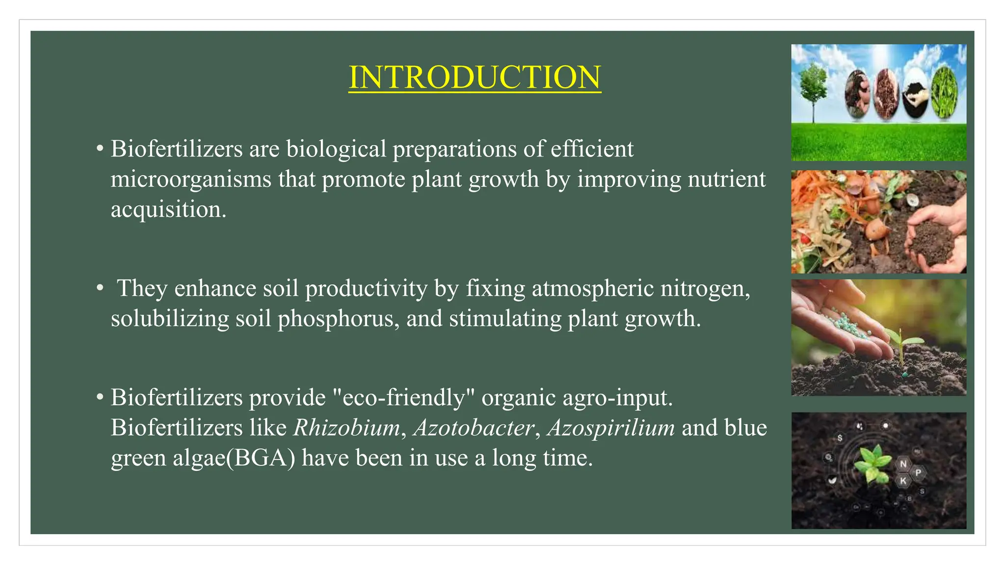 biofertilizer.ppt(introduction,types,uses) | PPT