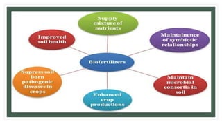 biofertilizer.ppt(introduction,types,uses) | PPT