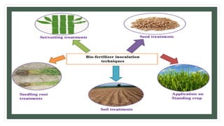 biofertilizer.ppt(introduction,types,uses) | PPT