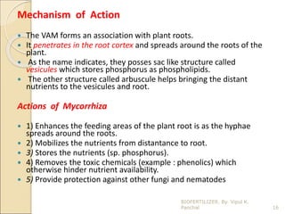 biofertilizer pp tygjuijjnjghijbhhjjguyijk | PPT
