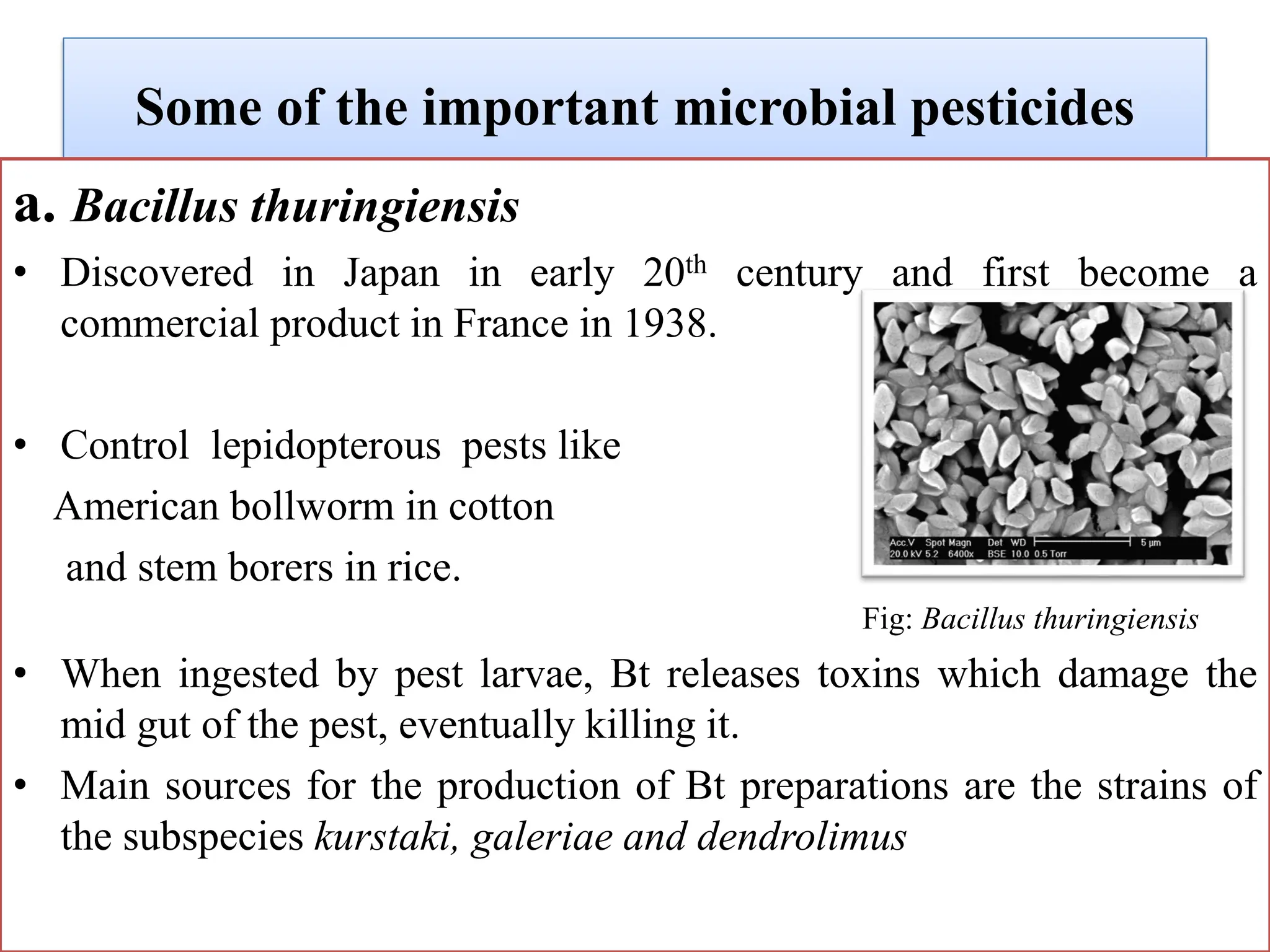Biofertilizer-and-biopesticide.pdf; Biofertilizer have great role in ...