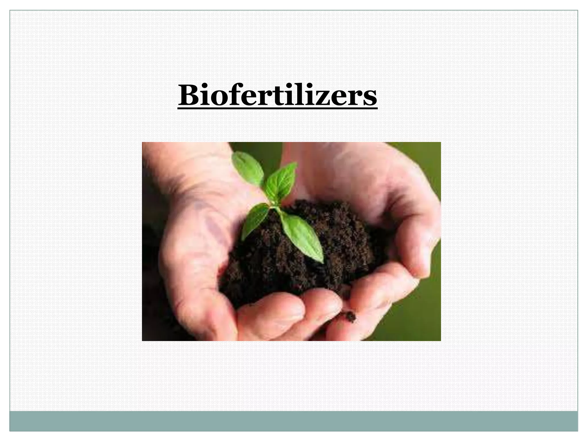 Biofertilizer 2022.pptx