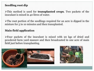 Biofertilizer 2022.pptx