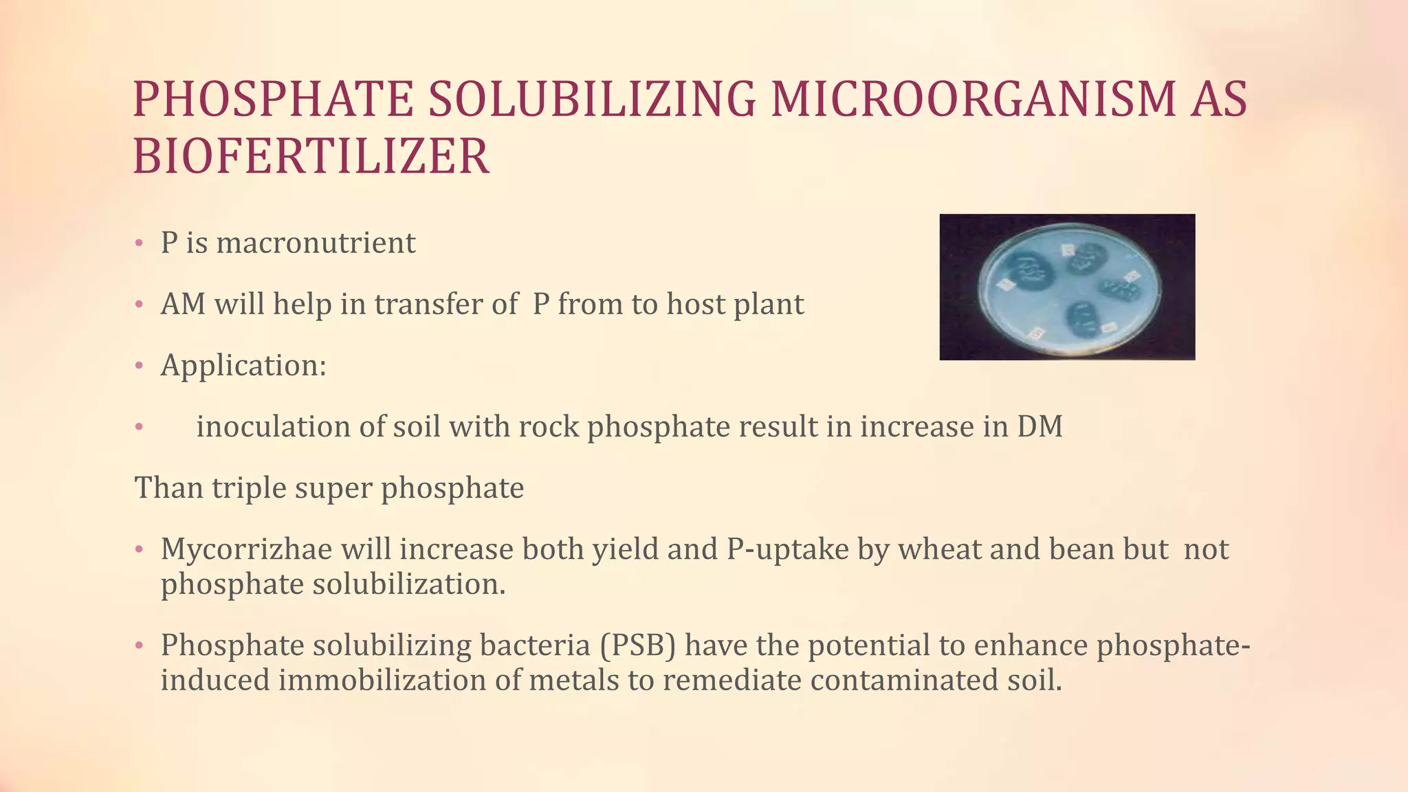 Biofertilizer applications | PPTX