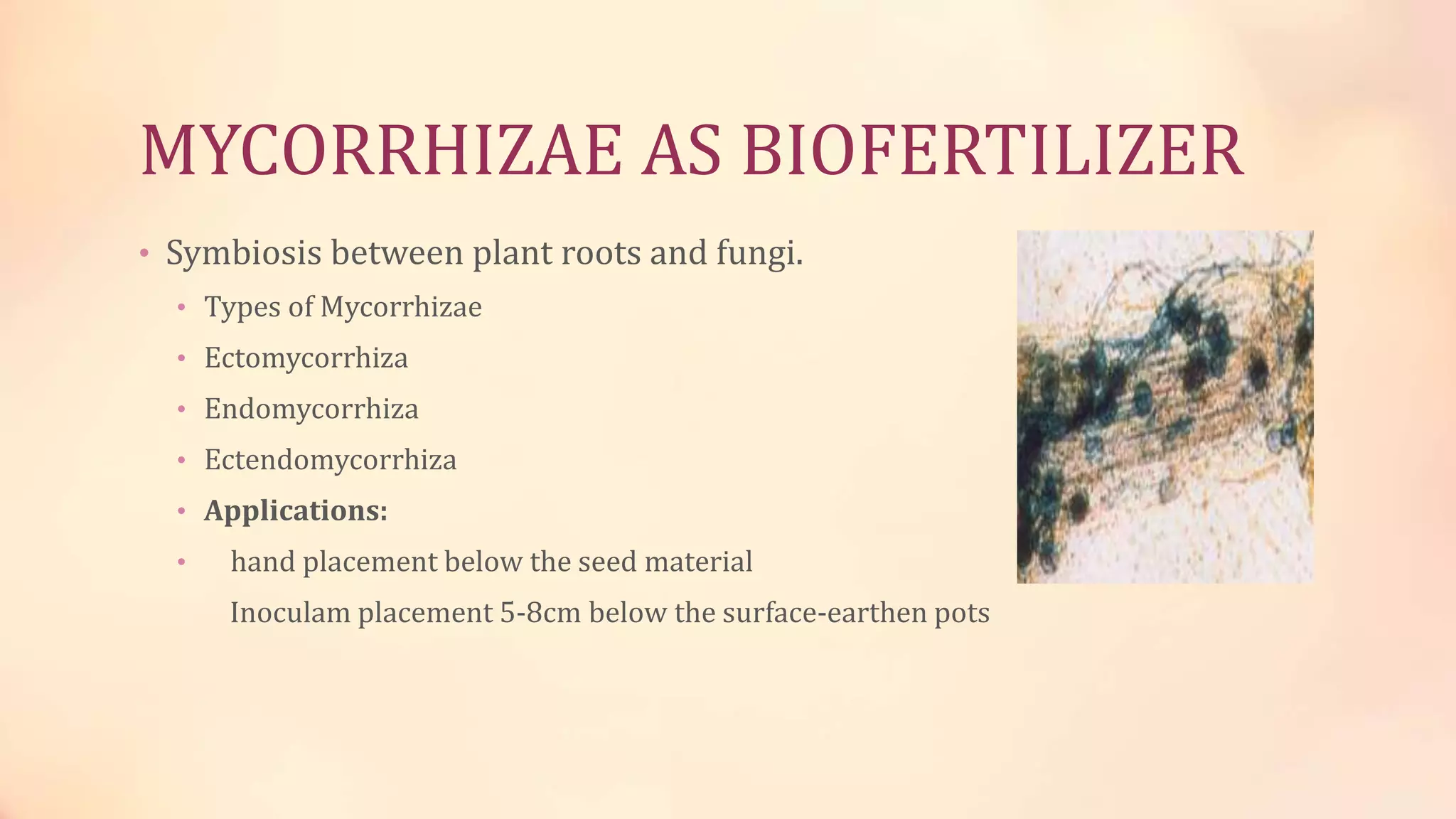 Biofertilizer applications | PPTX