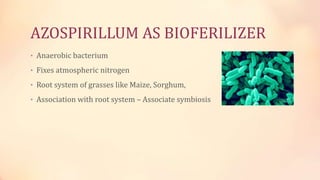 Biofertilizer applications | PPTX