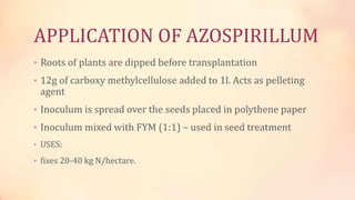 Biofertilizer applications | PPTX