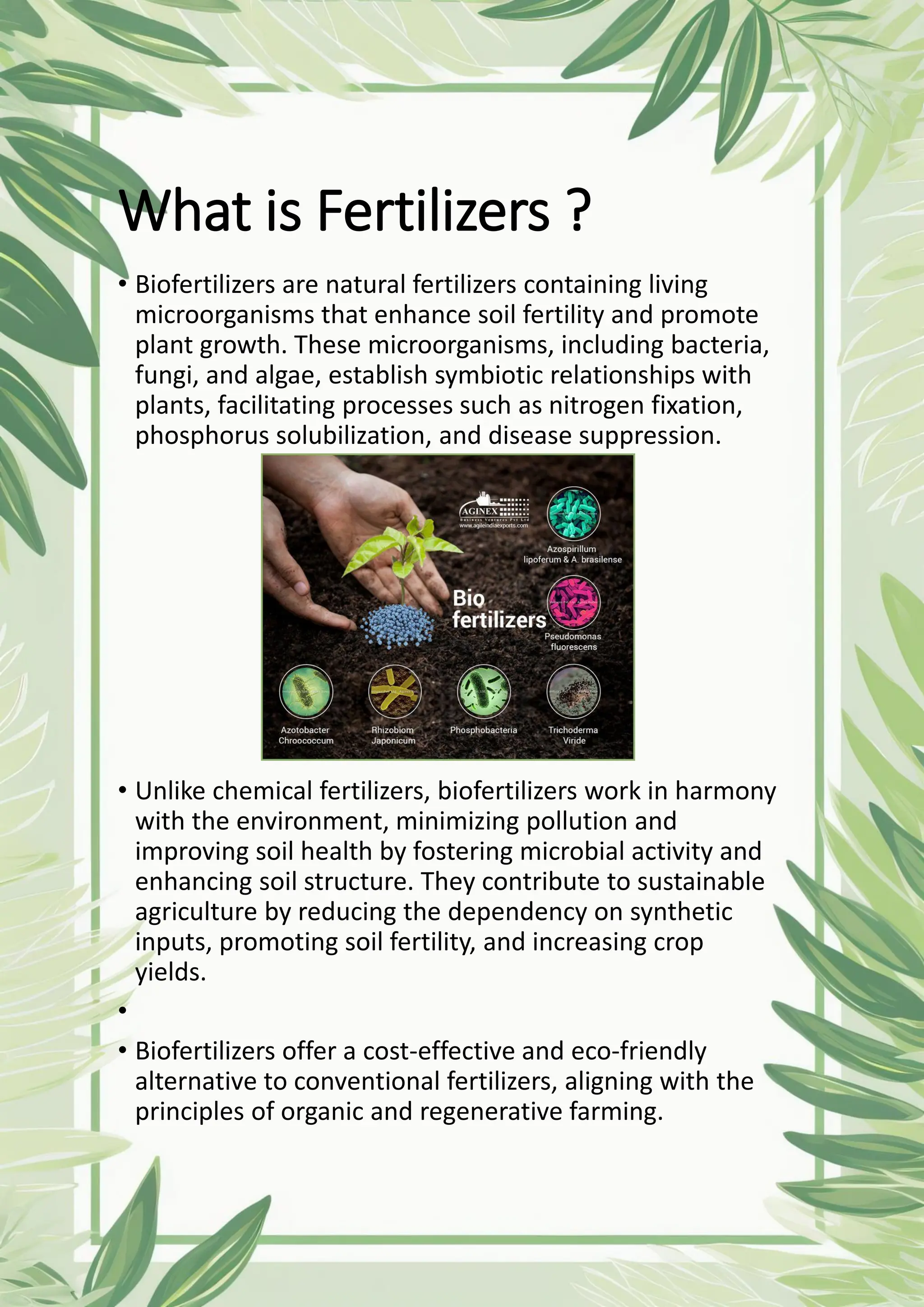 Biofertilizer : Harnessing Nature's Power, Exploring Biofertilizers | PDF