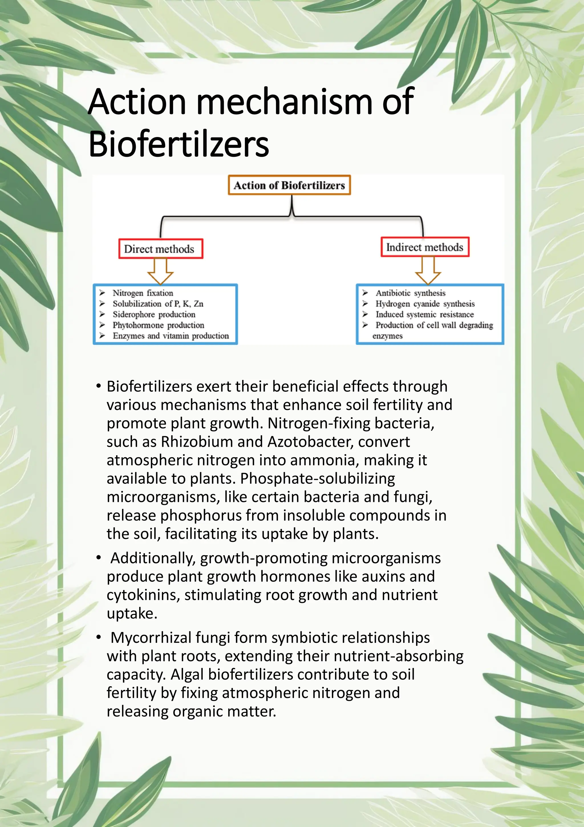 Biofertilizer : Harnessing Nature's Power, Exploring Biofertilizers | PDF