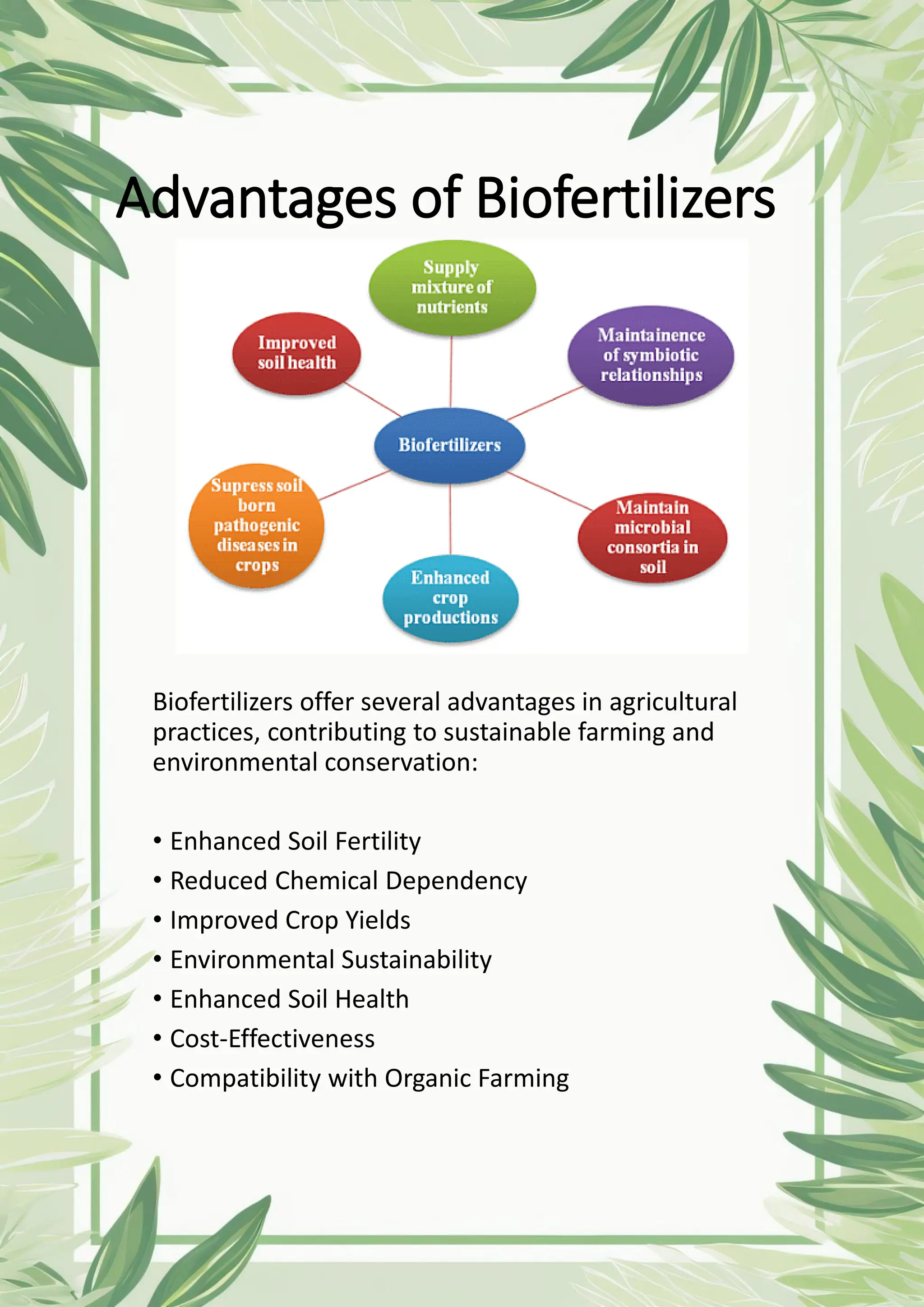 Biofertilizer : Harnessing Nature's Power, Exploring Biofertilizers | PDF