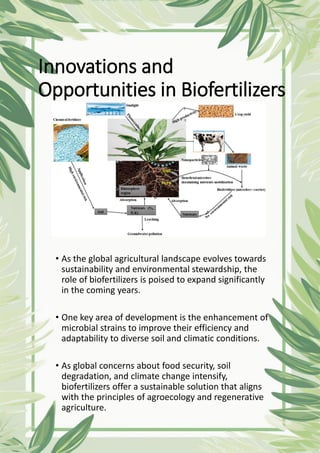 Biofertilizer : Harnessing Nature's Power, Exploring Biofertilizers | PDF